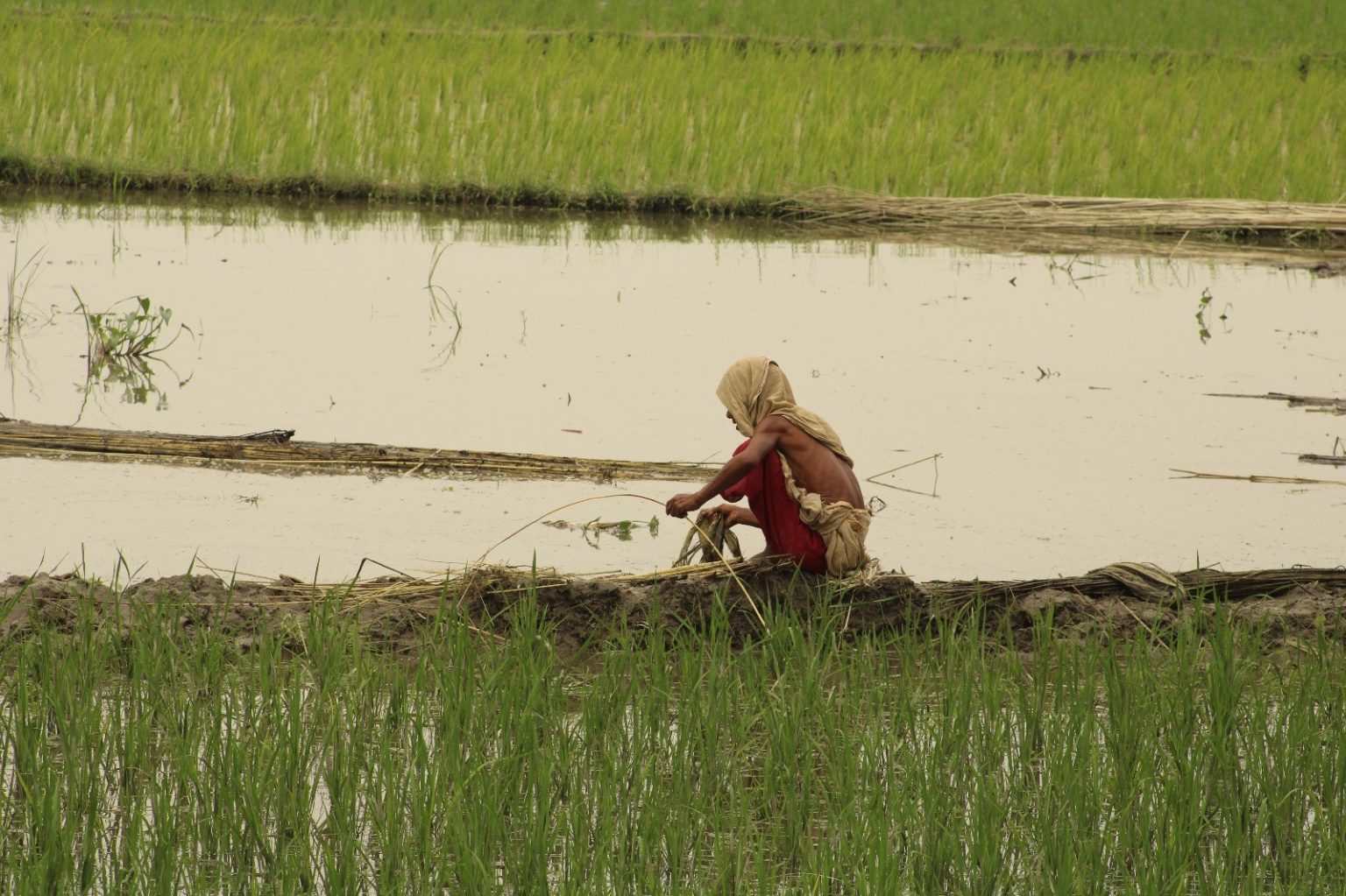 Jute Coffins – J C Atkinson