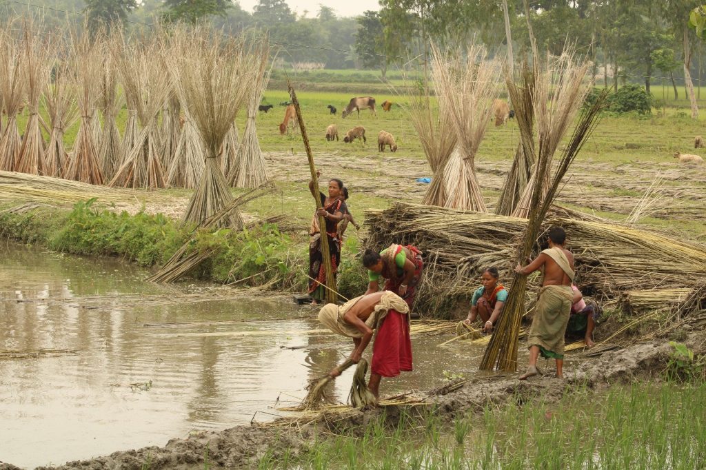 Jute Coffins – J C Atkinson