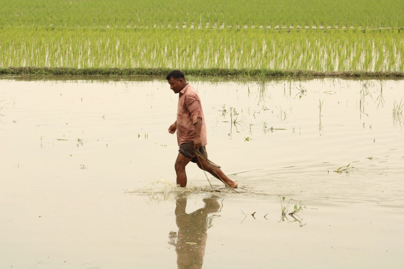 Jute Coffins – J C Atkinson